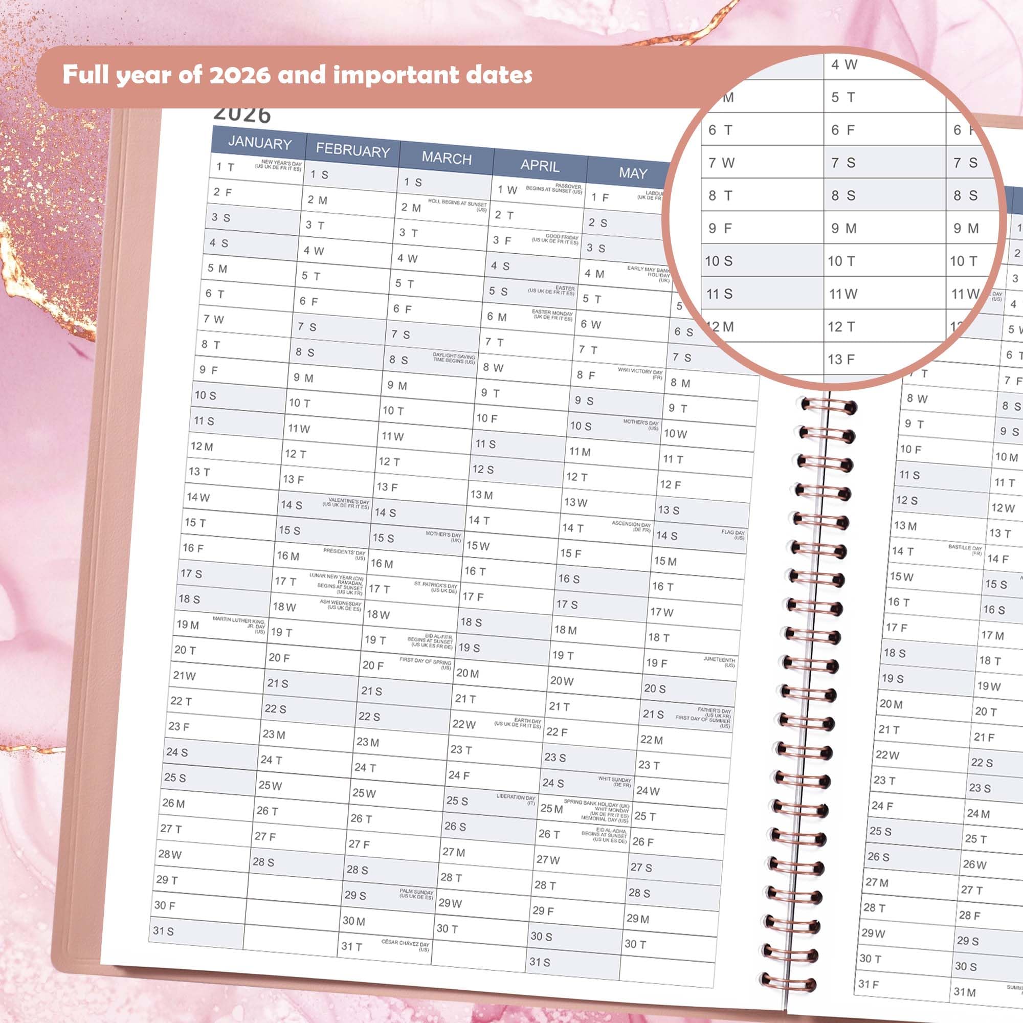 Snapklik.com : 2026 Appointment Book - Appointment Planner 2026, Jan ...
