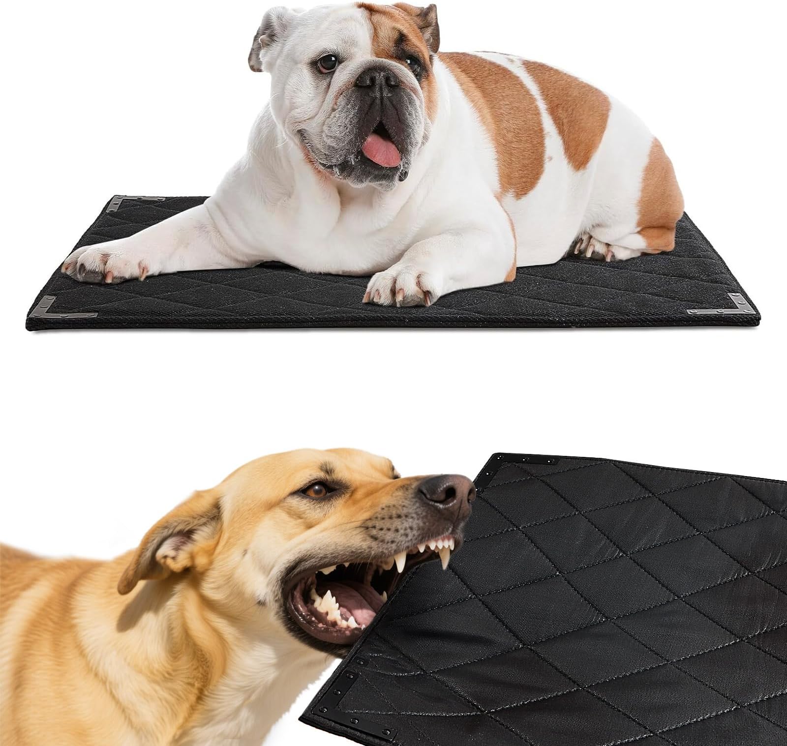 Amazon.com : HOMBYS Chew Proof Dog Crate Pad, Indestructible Dog Bed ...