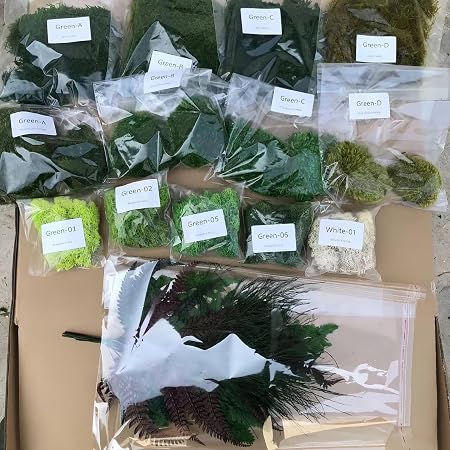 Amazon.com: prefleur DIY Crafts Assorted Moss Kit Mixed Preserved ...