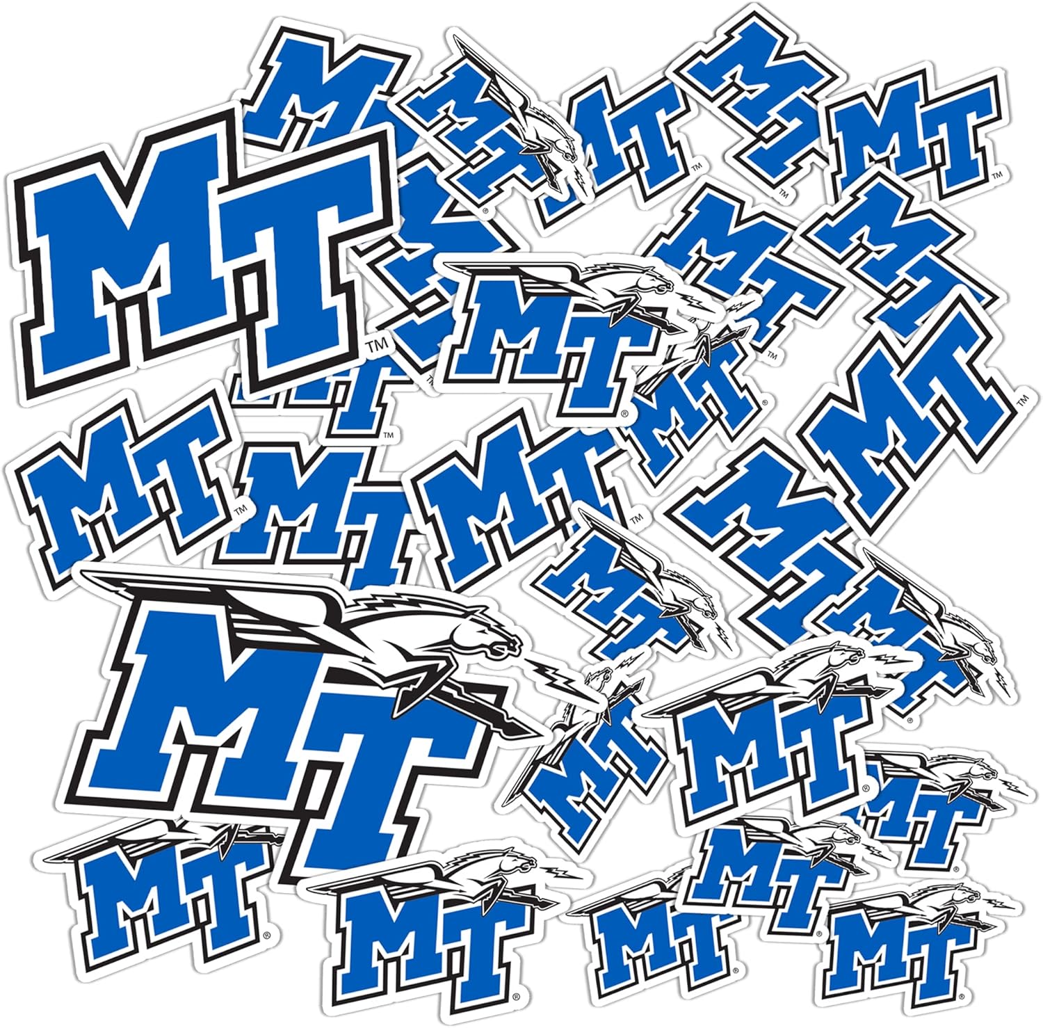Amazon.com: Desert Cactus Middle Tennessee State University Sticker ...