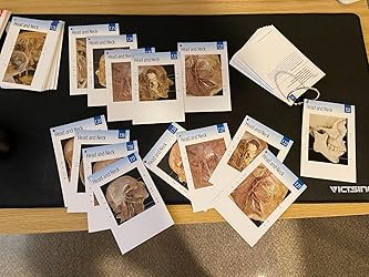 Rohen's Photographic Anatomy Flash Cards: 9781451194500: Medicine ...