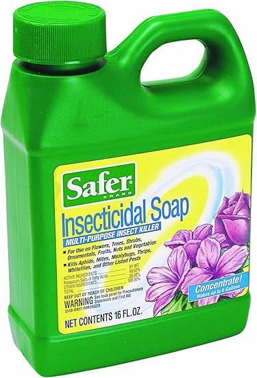 Amazon.com : Safer 5118-6 Insect Killing Soap Concentrate ...