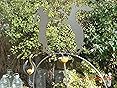 GAP GARDEN PRODUCTS - Boxing Hares Double Ball Wind Rocker/Spinner ...