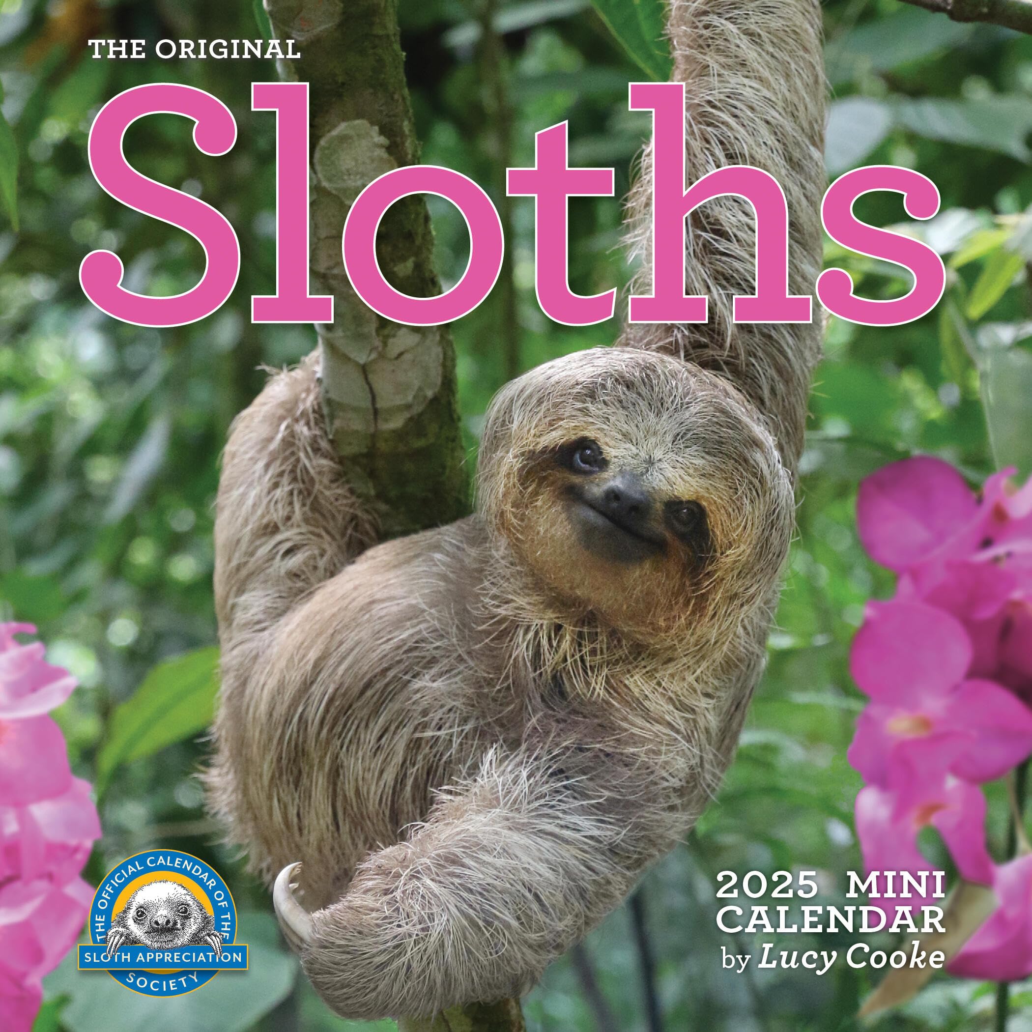 Amazon.com: Original Sloths Mini Wall Calendar 2025: Celebrate Life in ...