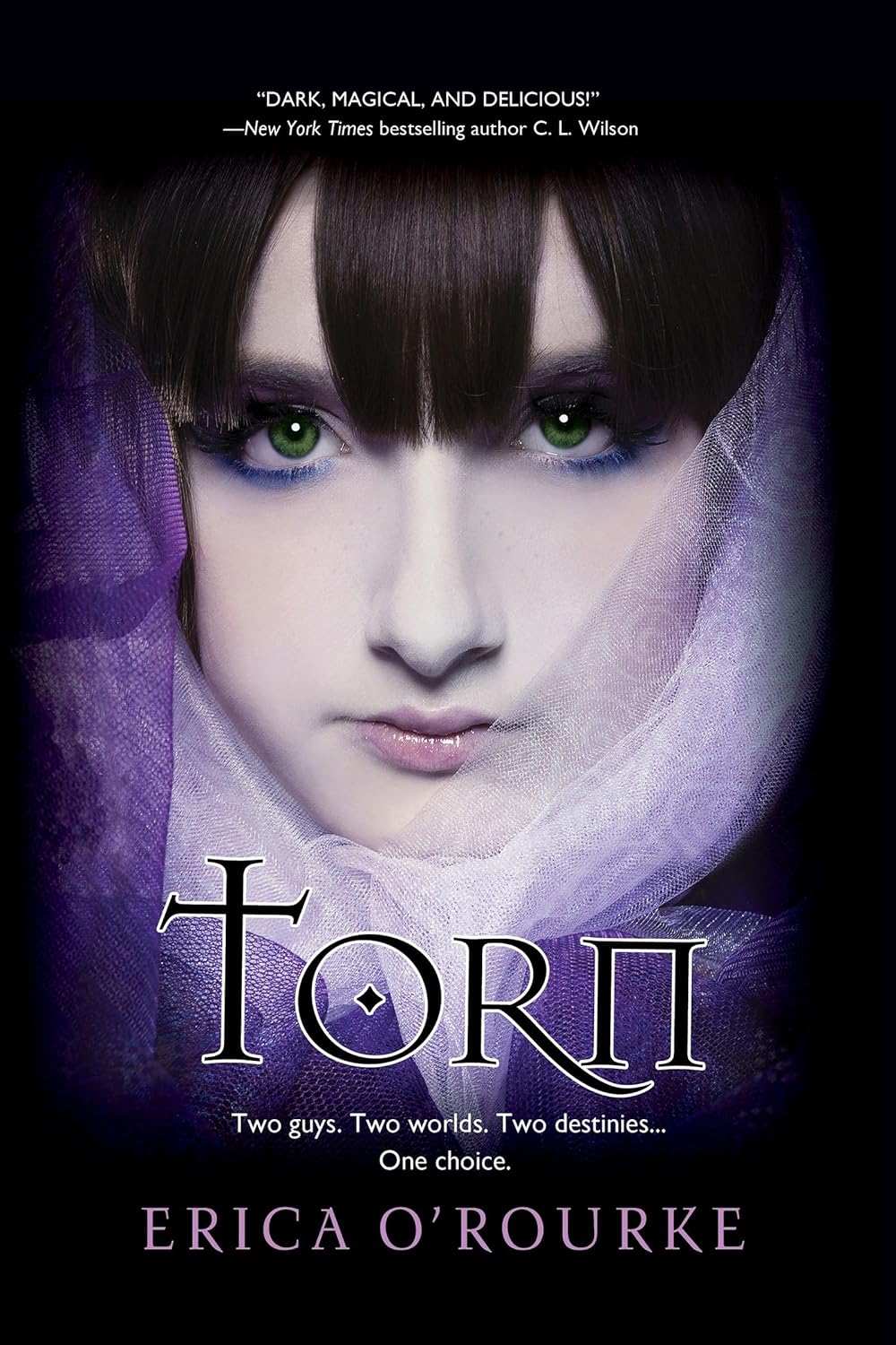 Amazon.com: Torn: 9780758267030: O'Rourke, Erica: Books
