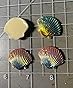 Amazon.com: ZhangyiHot 20 Pcs colorful Resin Flat Back Shells Glitter ...