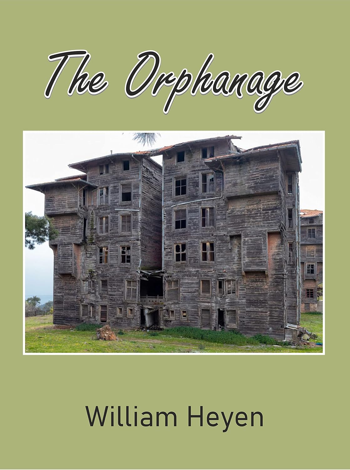 The Orphanage: William Heyen: 9788182539389: Amazon.com: Books