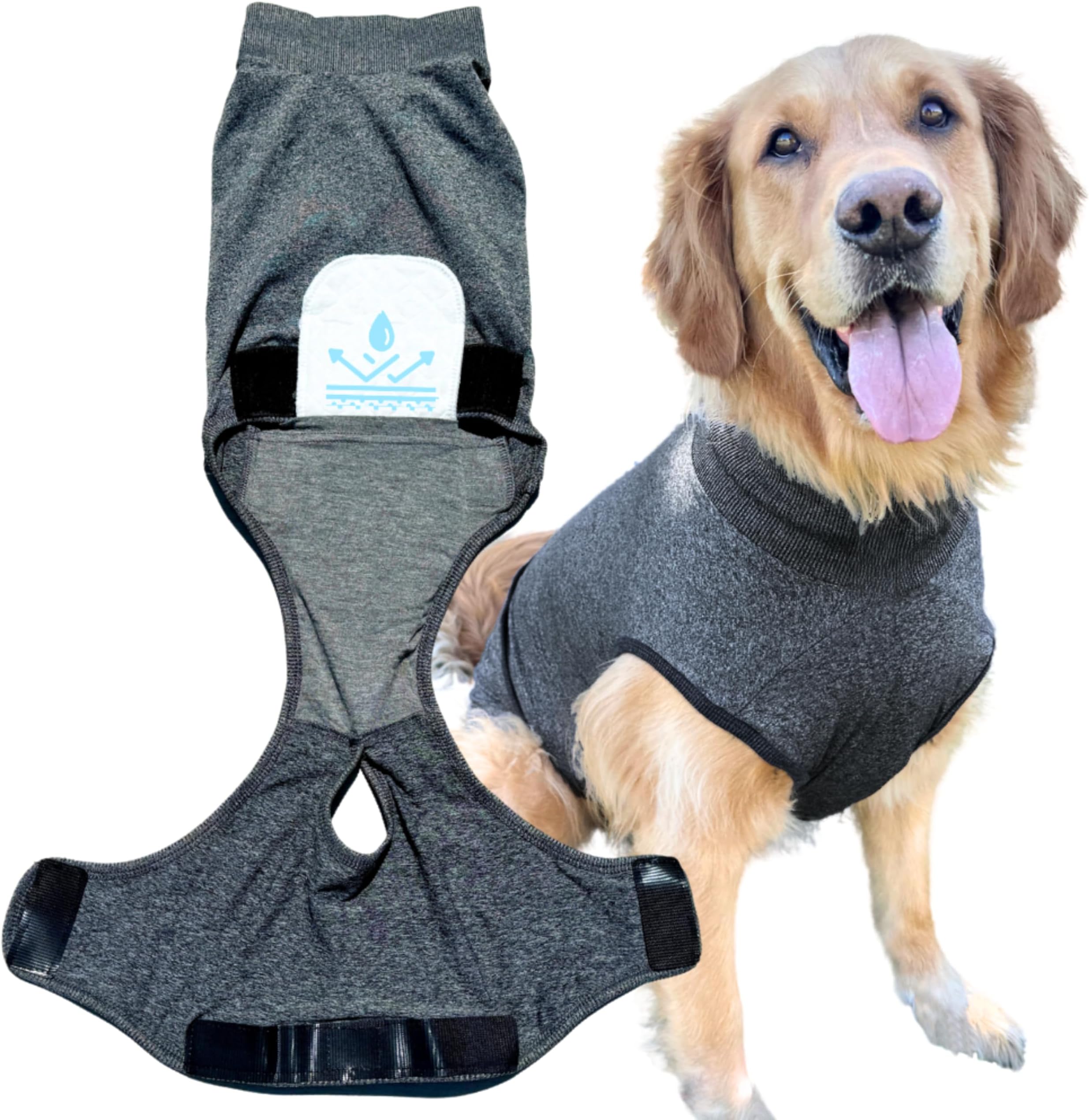 Amazon.com: Dog Recovery Suit After Surgery – Body Suit for Female Spay ...