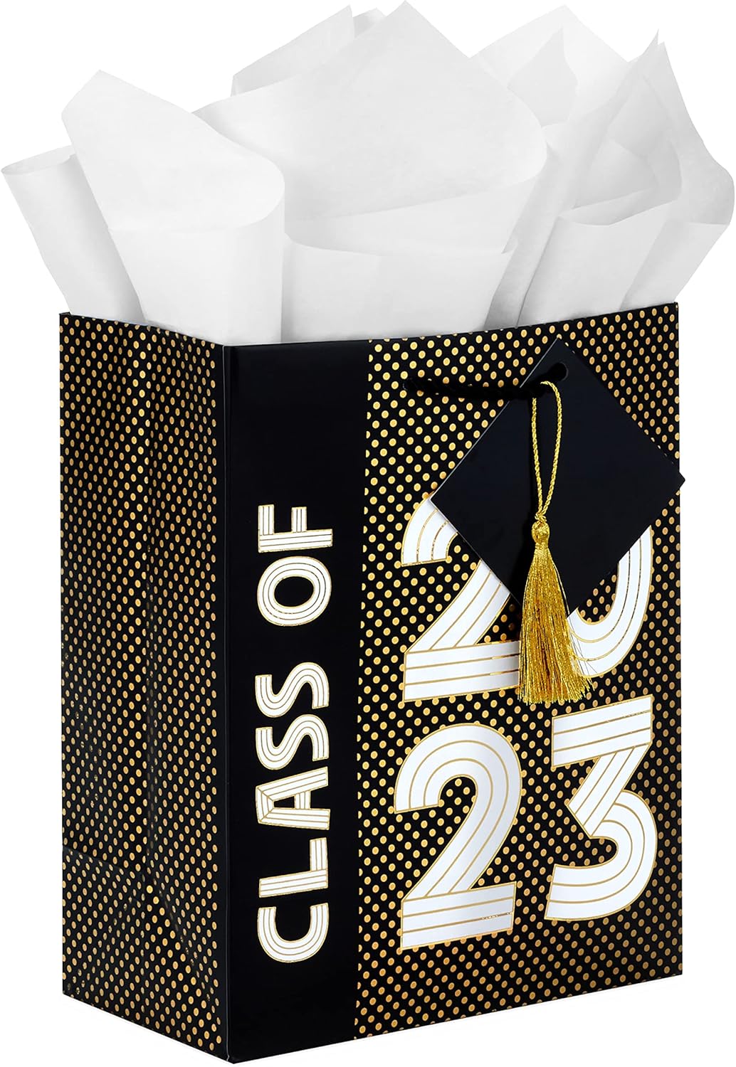 Amazon.com: Hallmark 9" Medium Graduation Gift Bag with Tissue Paper ...