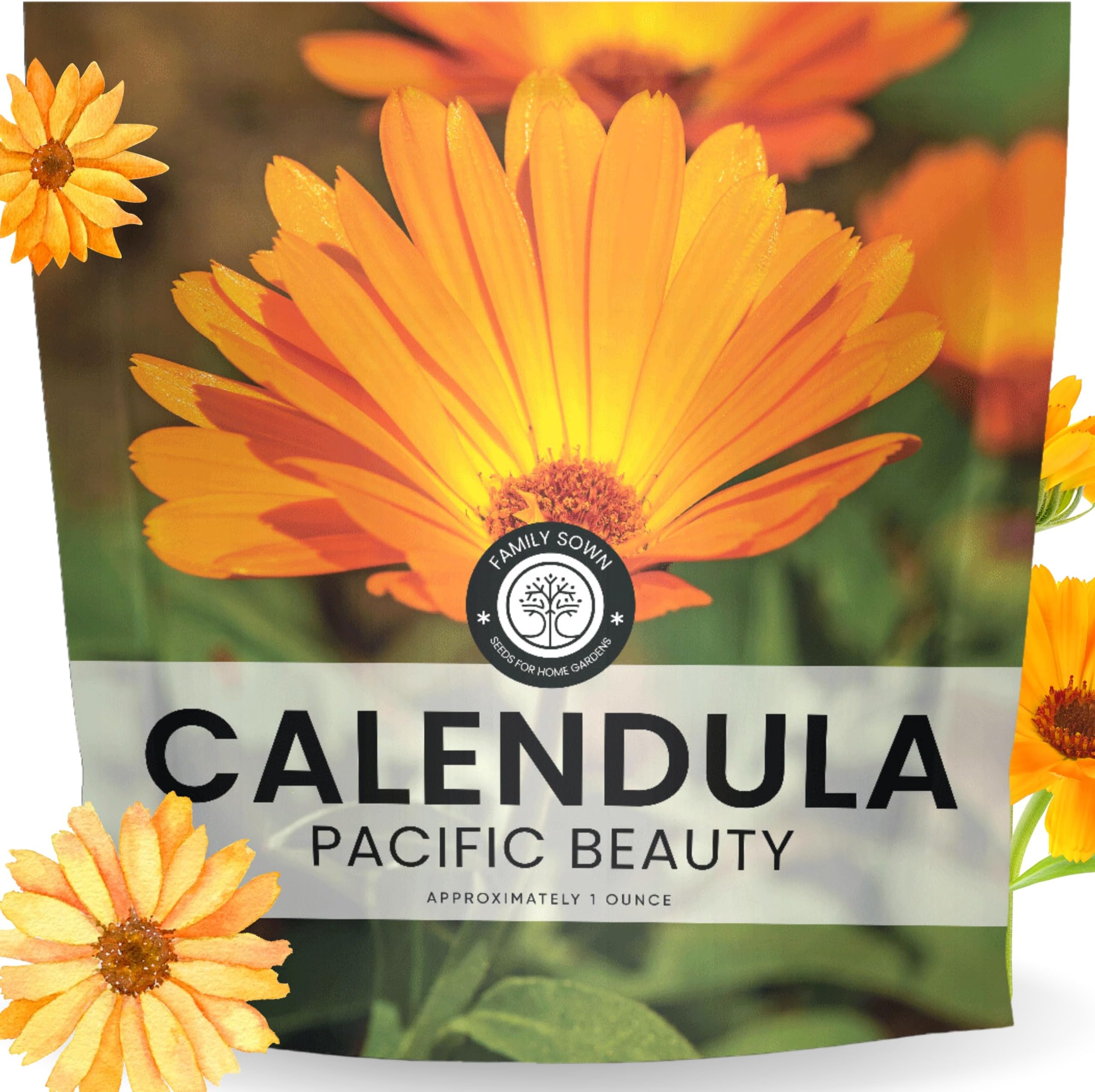 Amazon.com : Calendula Flower Seeds, Pacific Beauty Mix, Pack of 2000 ...