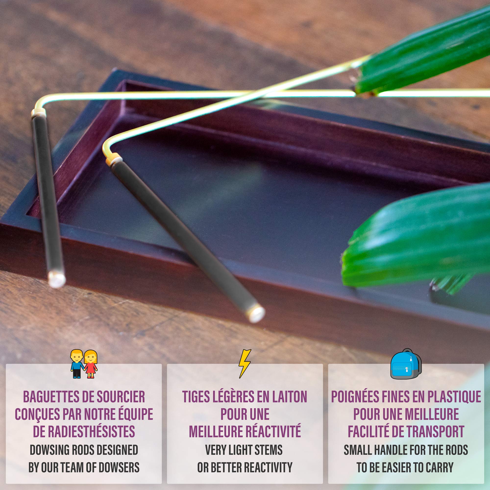 Buy Vibratis PROFESSIONAL Brass Dowsing Rods - Dowsing Rods for ...