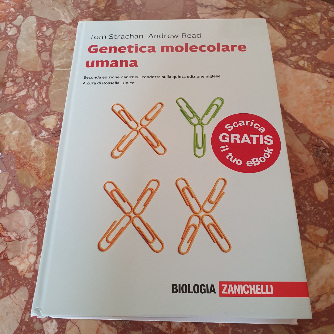 Genetica molecolare umana 2 ed. : Strachan, Tom, Read, Andrew P ...