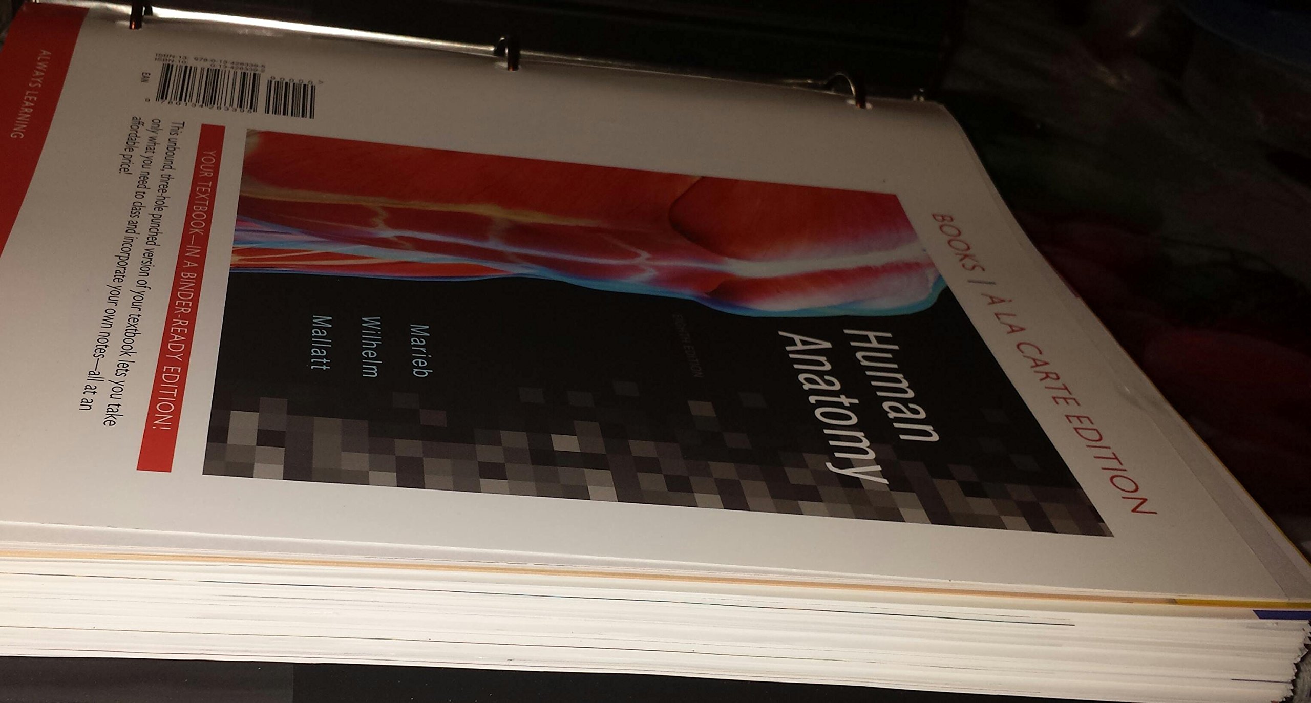 Amazon.com: Human Anatomy, Books a la Carte Edition (8th Edition ...