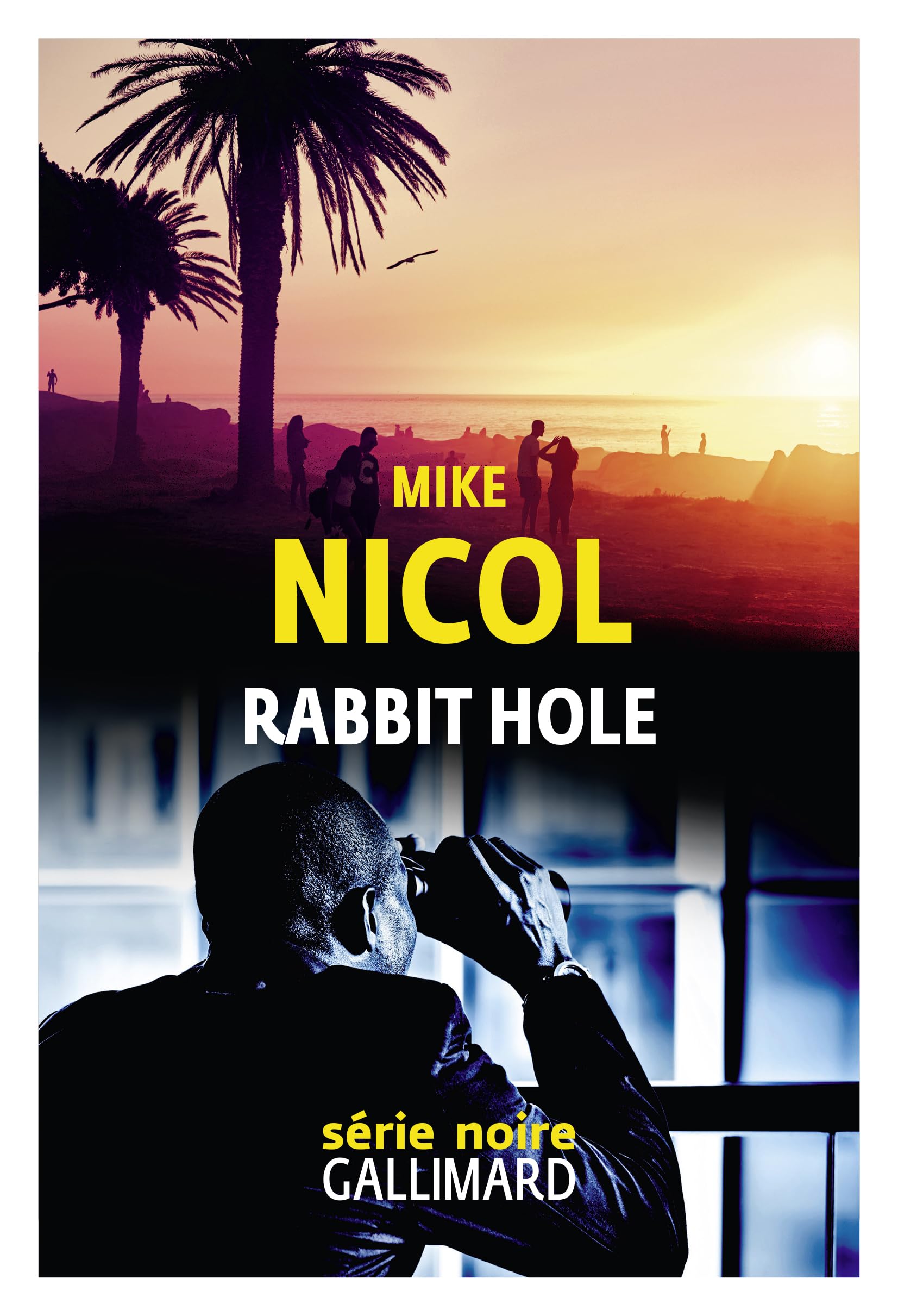 Amazon.com: Rabbit Hole: 9782072906039: Nicol, Mike, Esch, Jean: Books