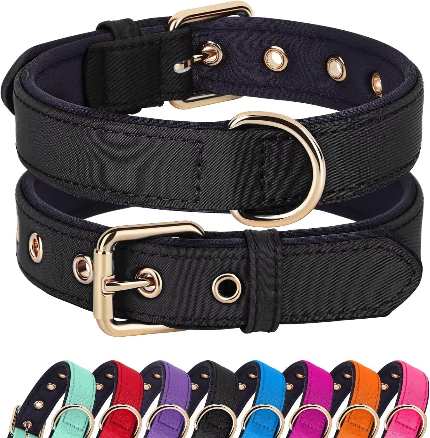 Amazon.com : Didog Soft Padded Dog Collars for Small Dogs, Lightweight ...