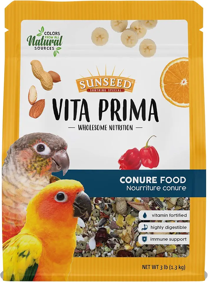 Feeding Your Conure: A Guide To Their Favorite Foods | PetShun