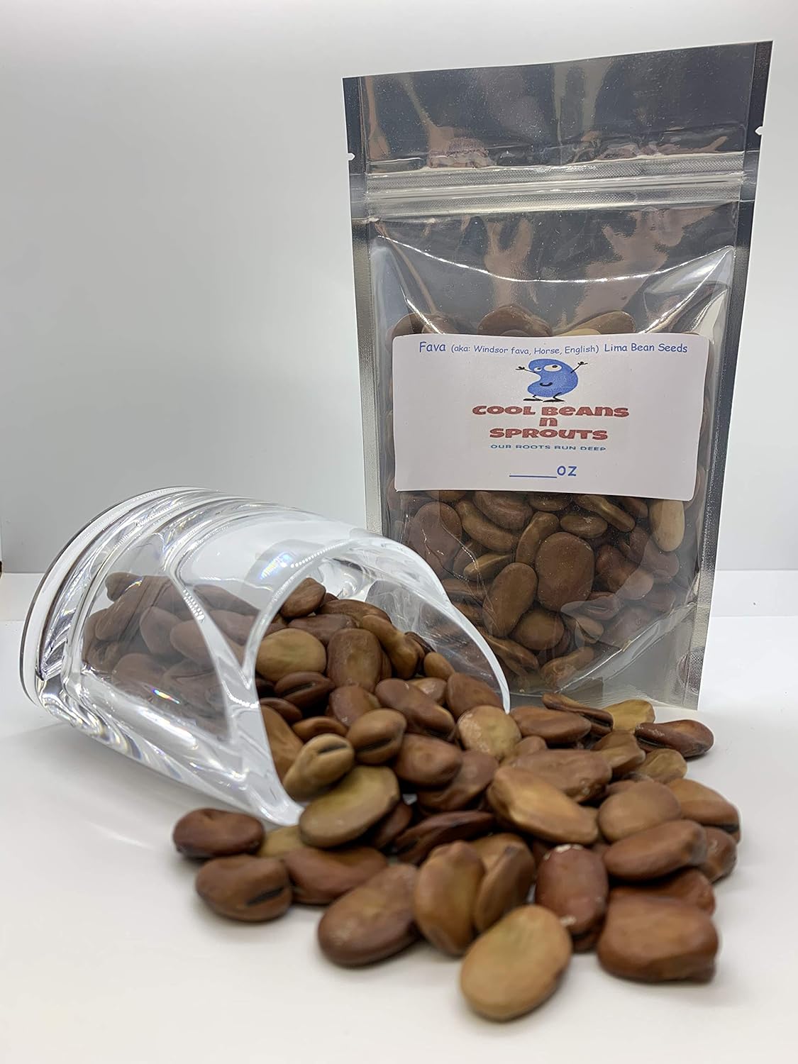 Amazon.com : Horse Bean Seeds (a.k.a Fava Bean Seeds) Non-GMO, Approx ...