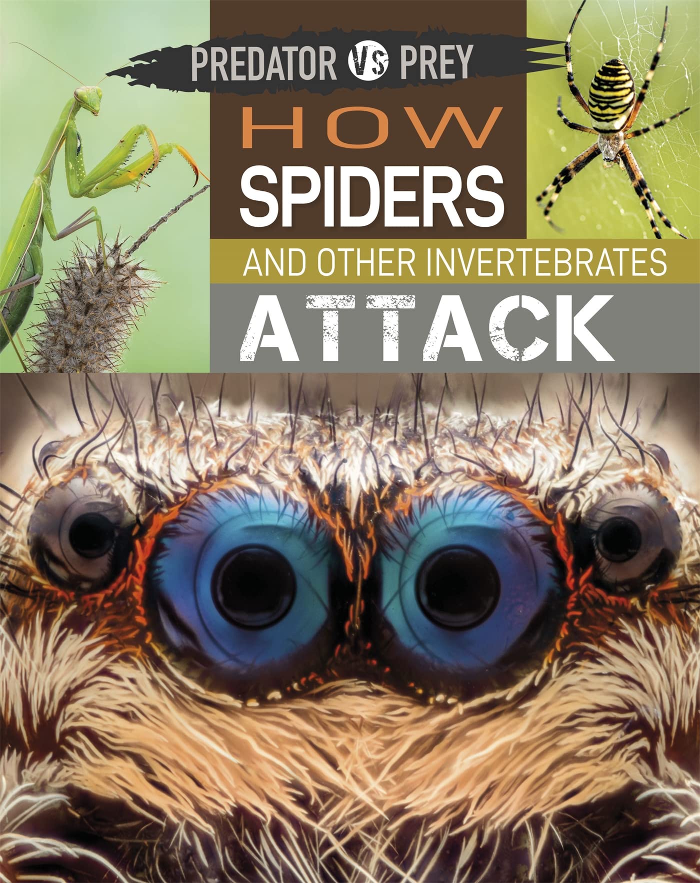 Predator vs Prey: How Spiders and other Invertebrates Attack!: Harris ...