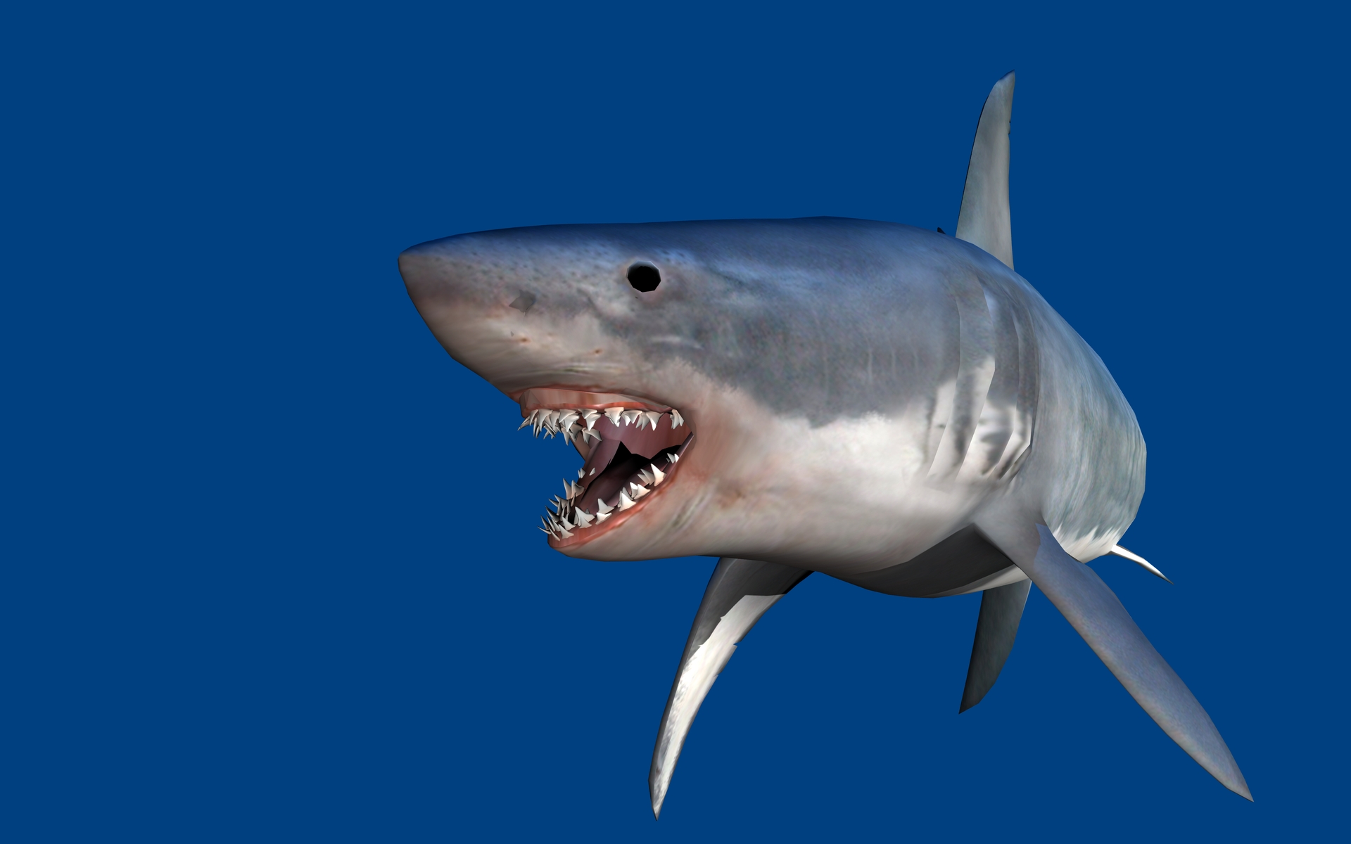 Talking Shark - App on the Amazon Appstore