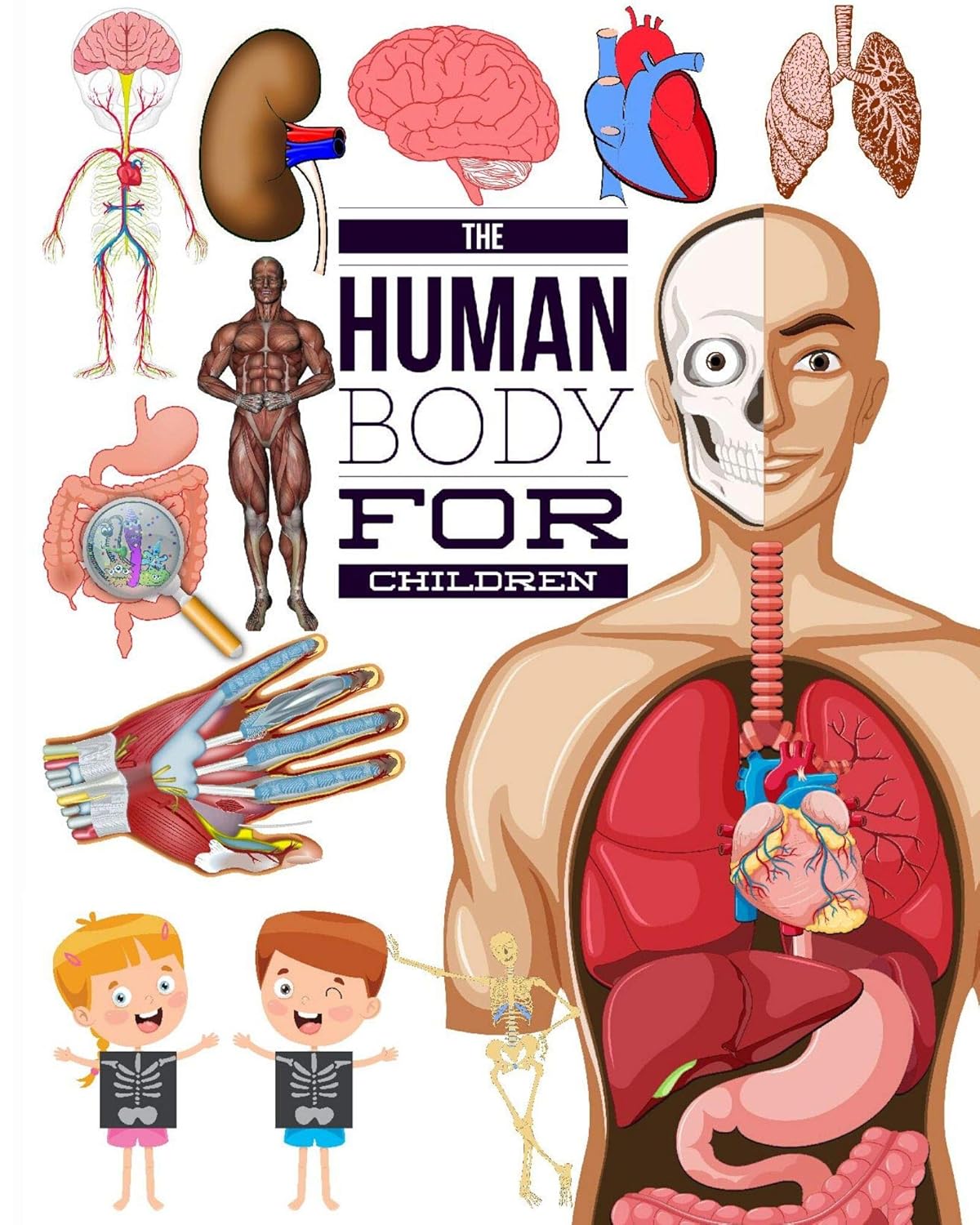 The Human Body for Children: My first interactive human body for kids ...