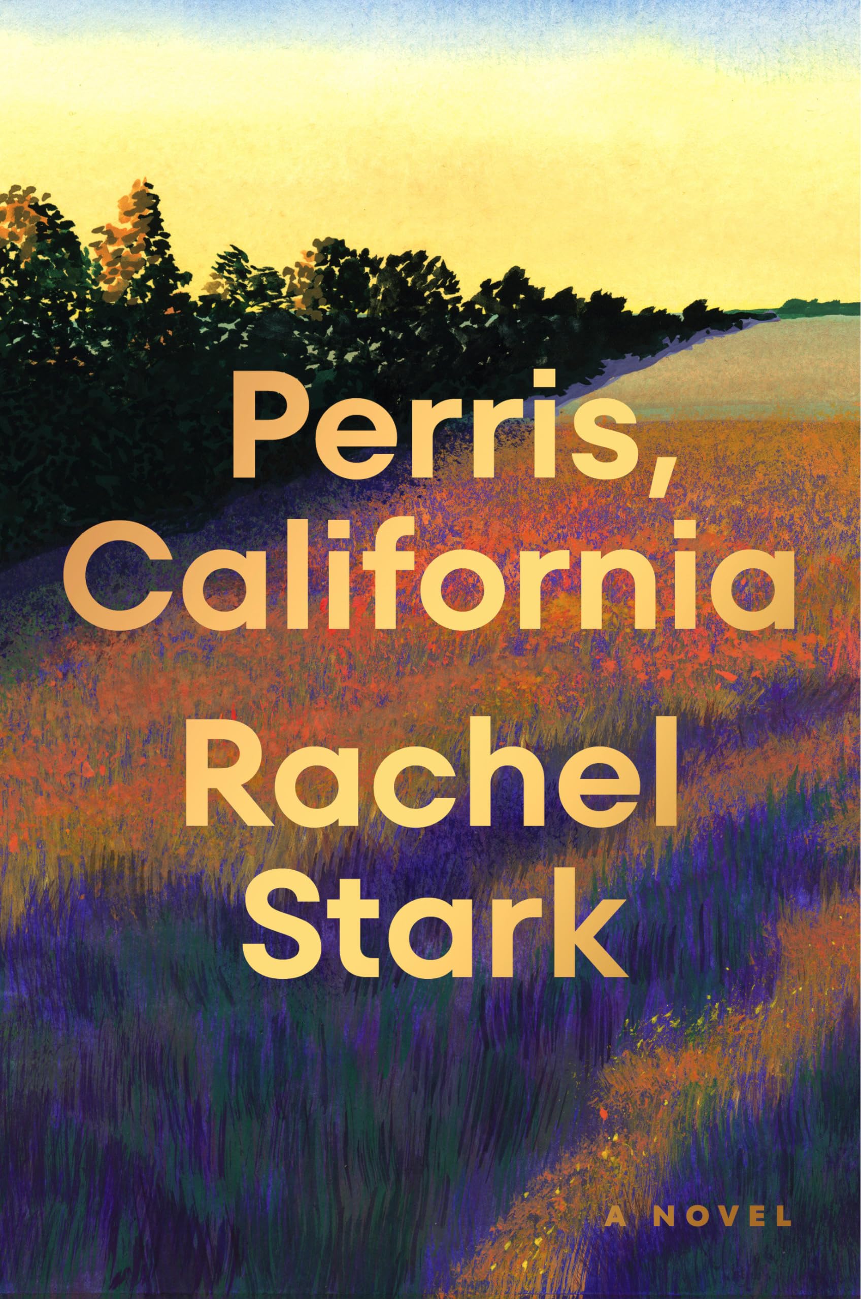 Perris, California: A Novel: Stark, Rachel: 9780593656204: Amazon.com ...
