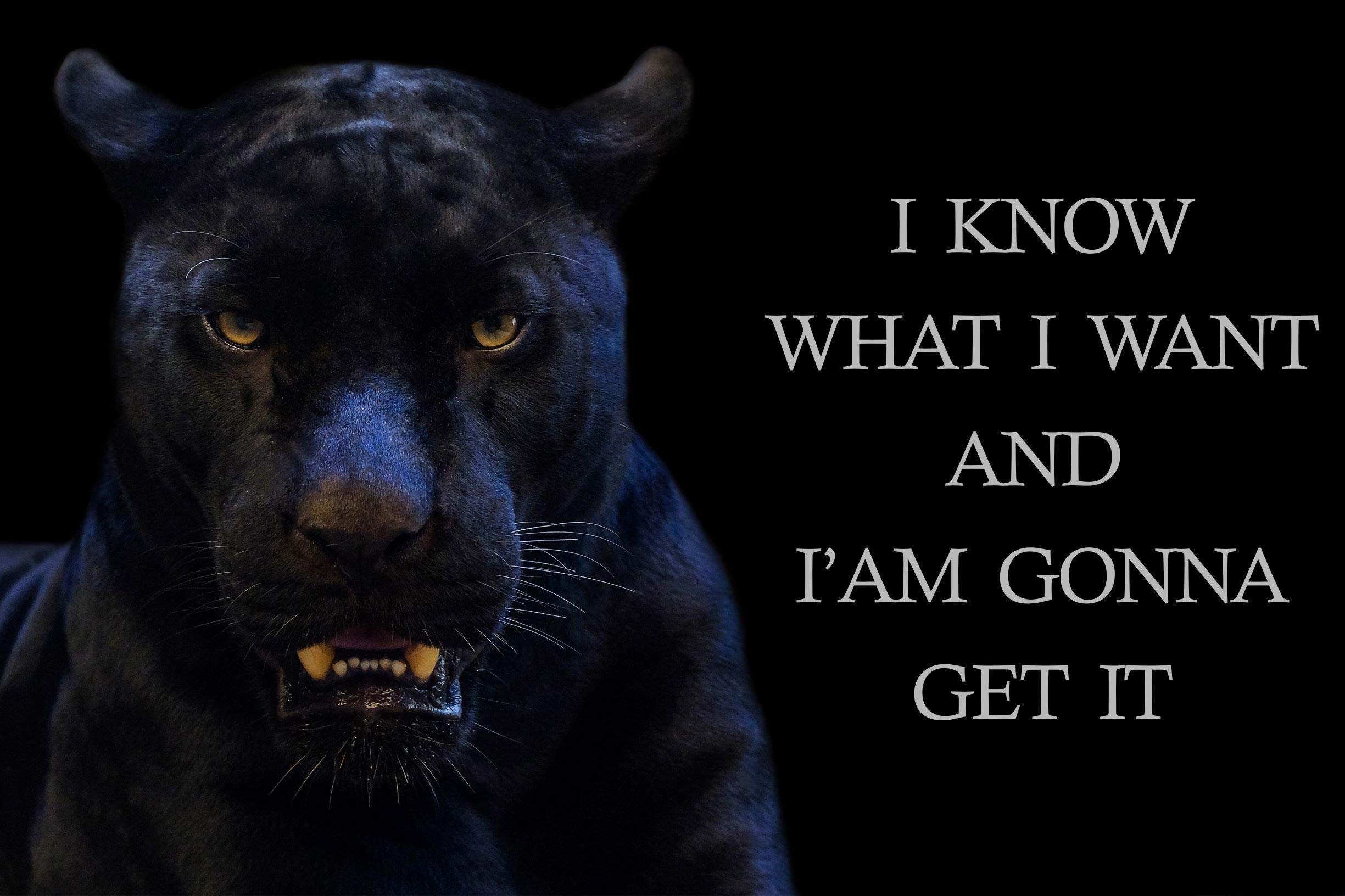 Im A Beast Quotes