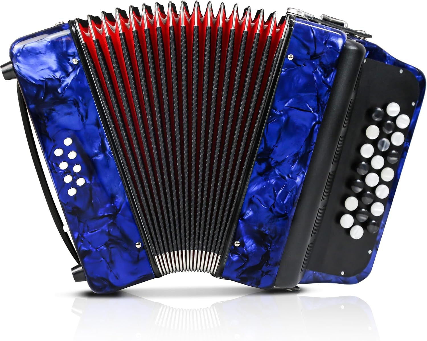 Amazon.com: Accordion, 22 key 8 Bass Piano Accordion with Strap ...