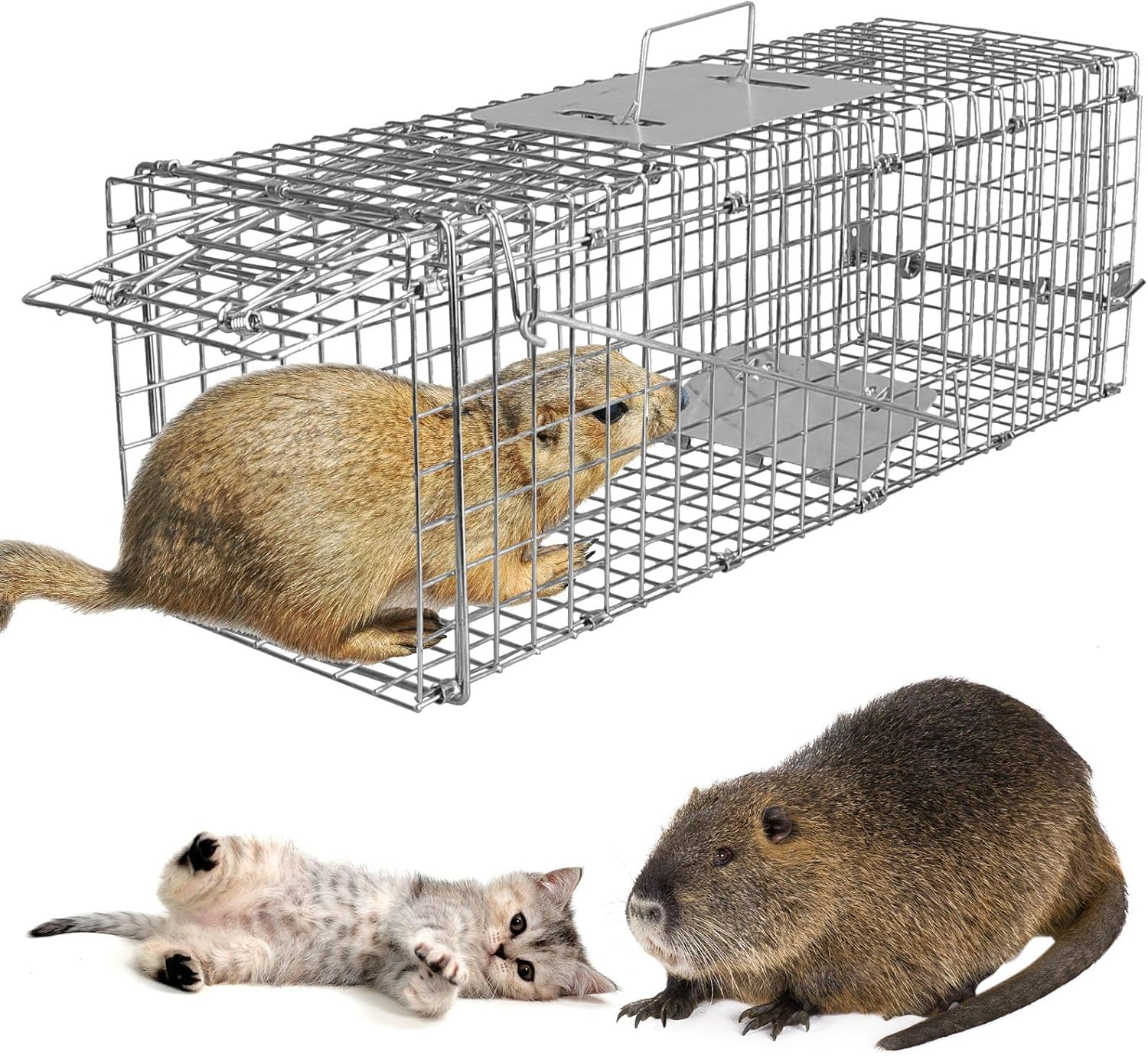 Amazon.com : iMounTEK Humane Live Animal Trap Animal Trap 32X12.5X12In ...