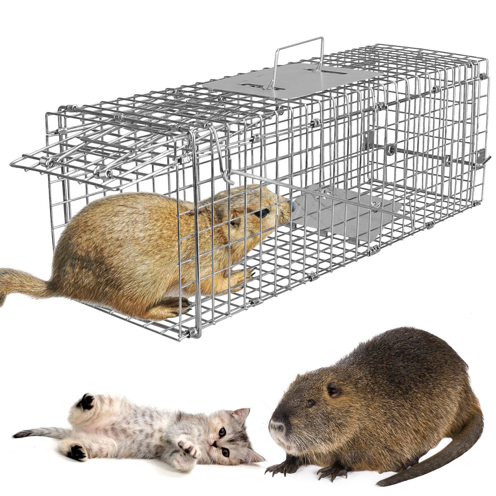 Amazon.com : iMounTEK Humane Live Animal Trap Animal Trap 32X12.5X12In ...