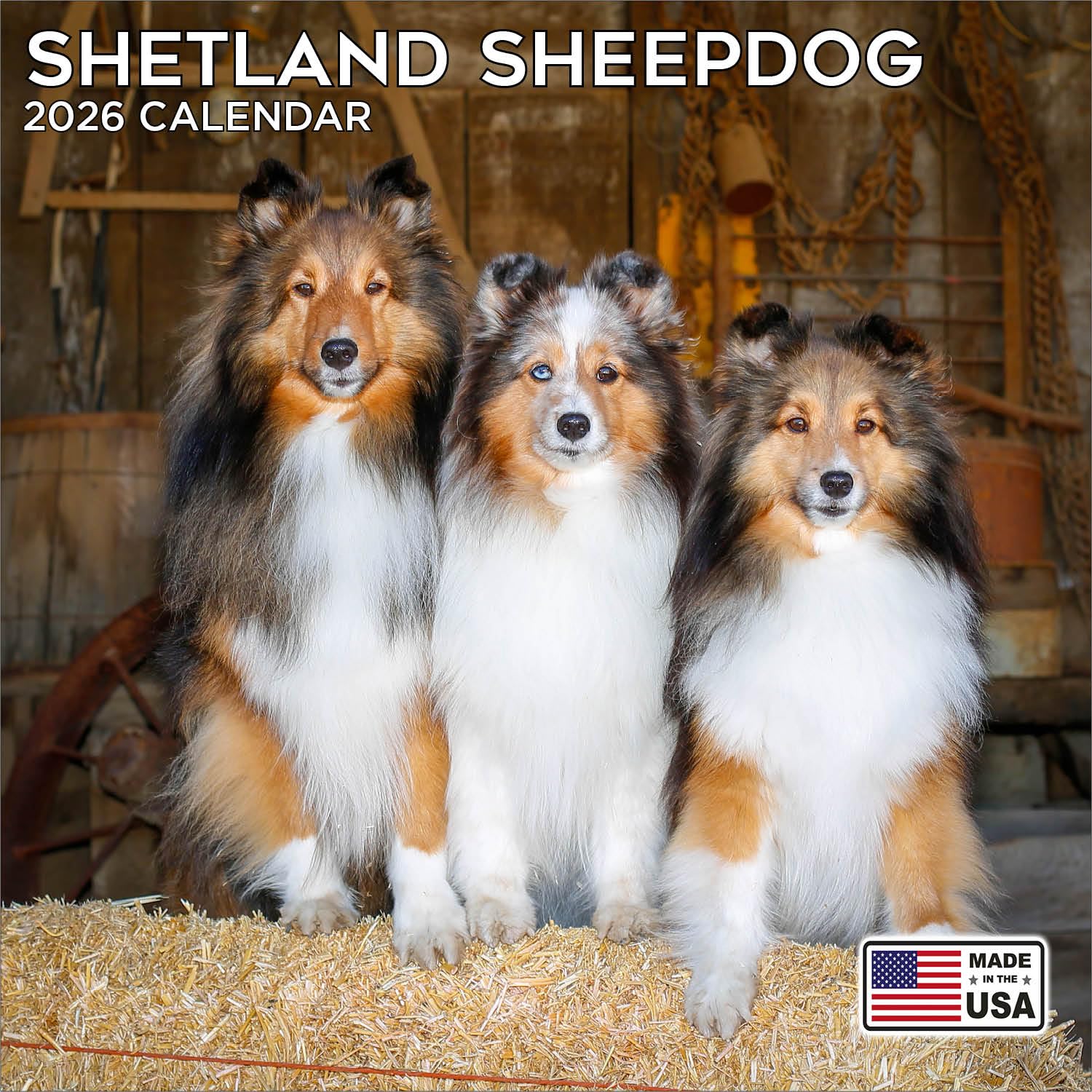 Snapklik.com : 2026 Shetland Sheepdog Calendar - Dog Breed Wall ...