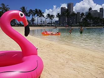 Amazon.com: INTEX Giant Lobster Inflatable Pool Float: Animal Pool Toy ...