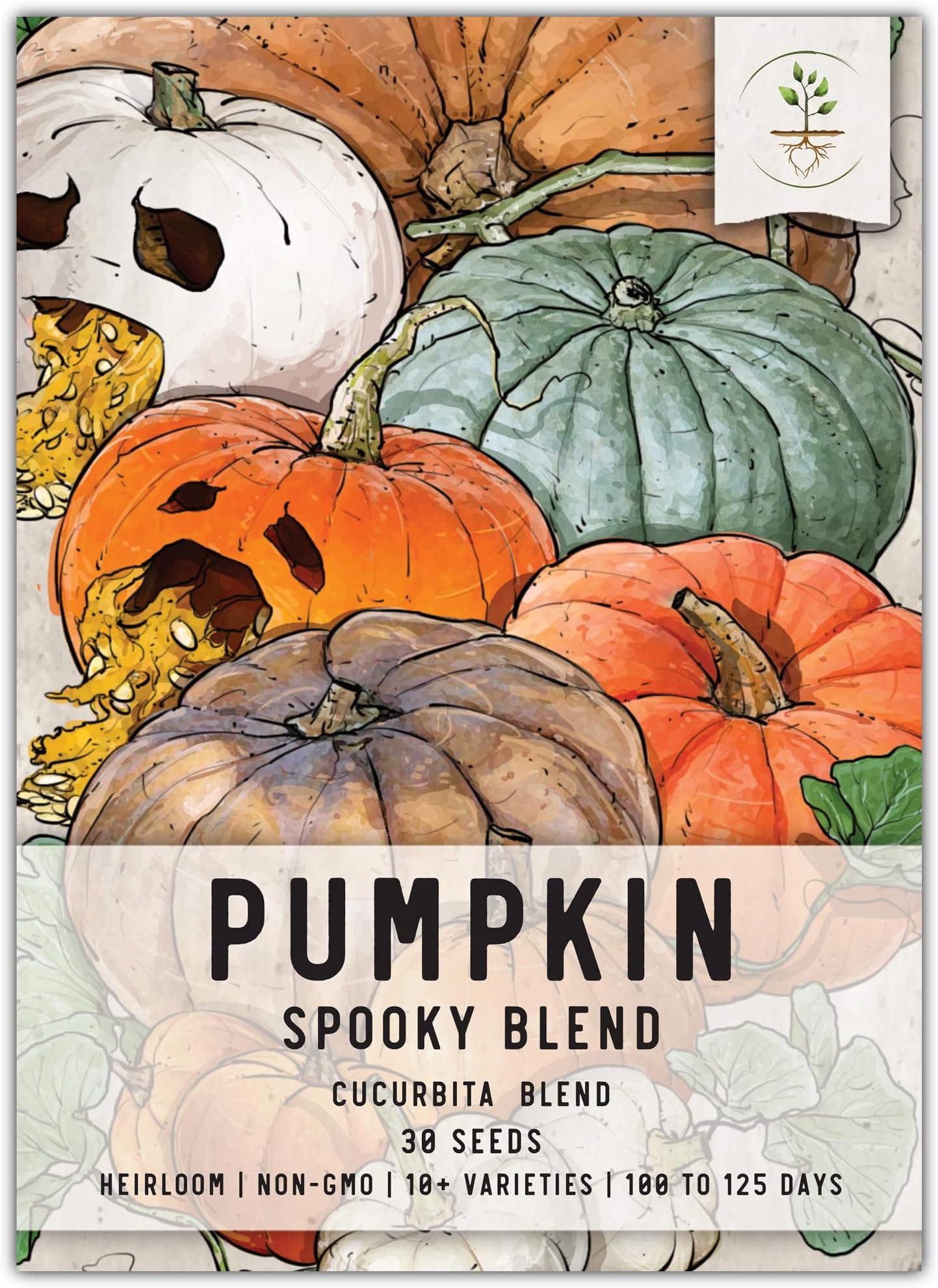 Amazon.com : Goosebumps Pumpkin Seeds for Planting (10 Seeds) - Orange ...