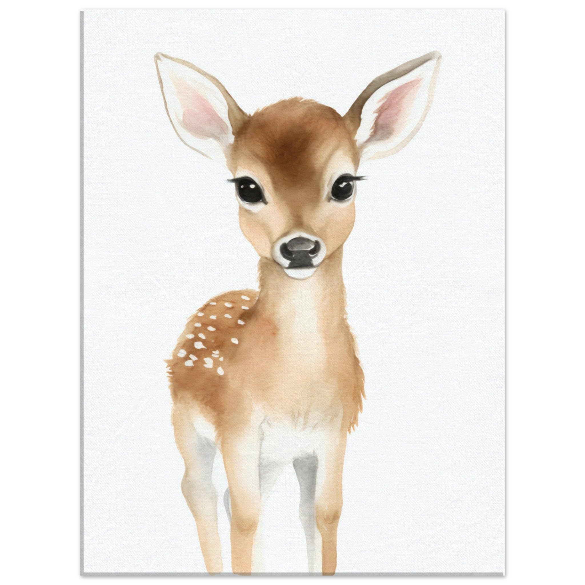 Baby Deer Sketches