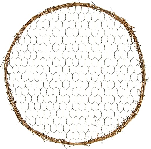 Amazon.com - Darice Frame: Grapevine, Round, 14 inches Chicken Wire ...