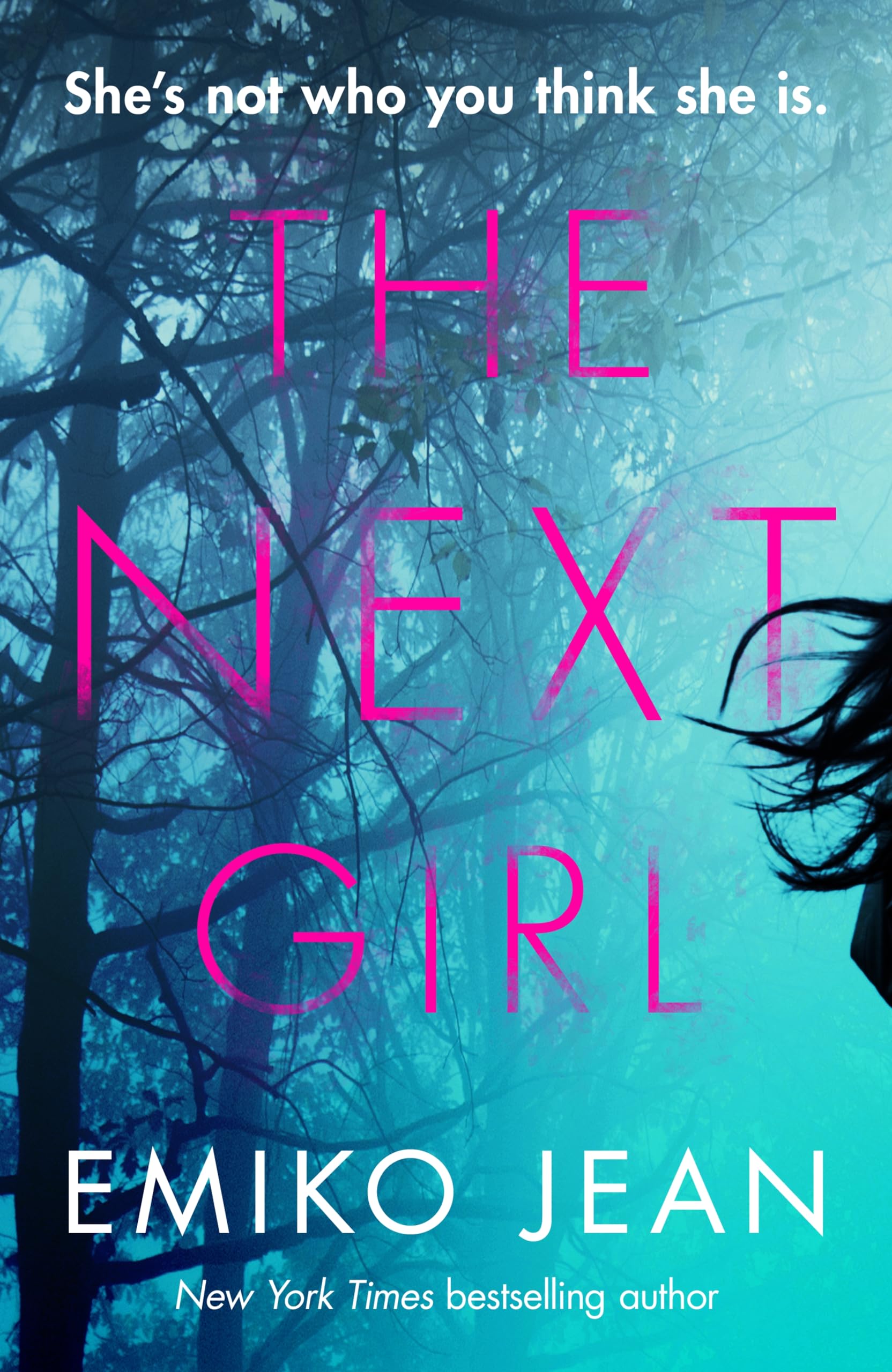 The Next Girl: The gripping new psychological thriller with a shocking ...