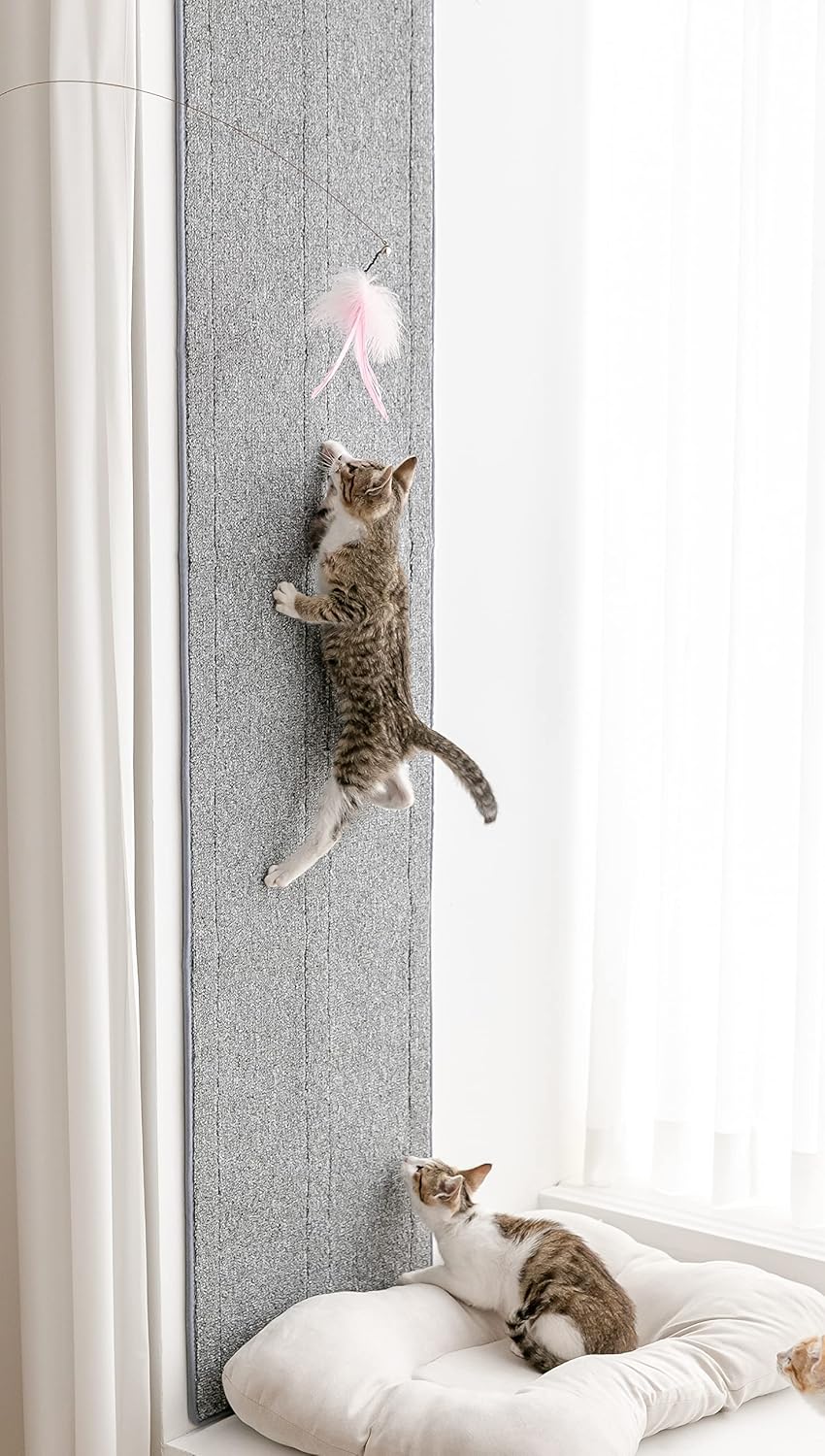 Amazon.com : myPLEASURE - for Your PET - 78.7” Tall Cat Scratcher Wall ...