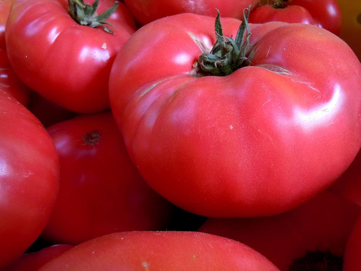 30 Seeds of Chef's Choice Red Hybrid Tomato : Amazon.co.uk: Garden