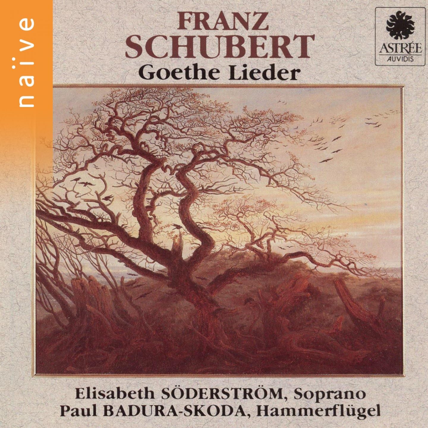 Schubert: Goethe Lieder: Amazon.co.uk: CDs & Vinyl