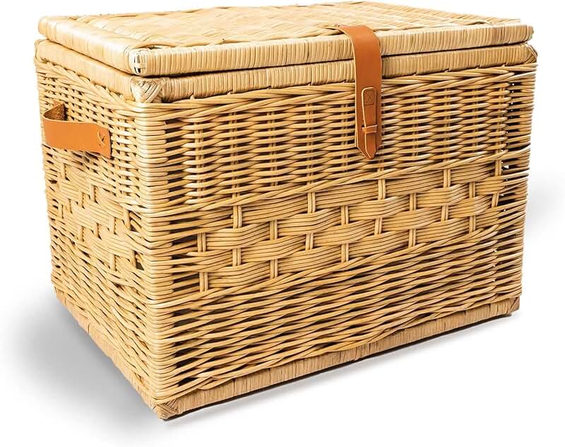 Amazon.com: Storage Trunks - Storage Trunks / Storage Trunks & Chests ...