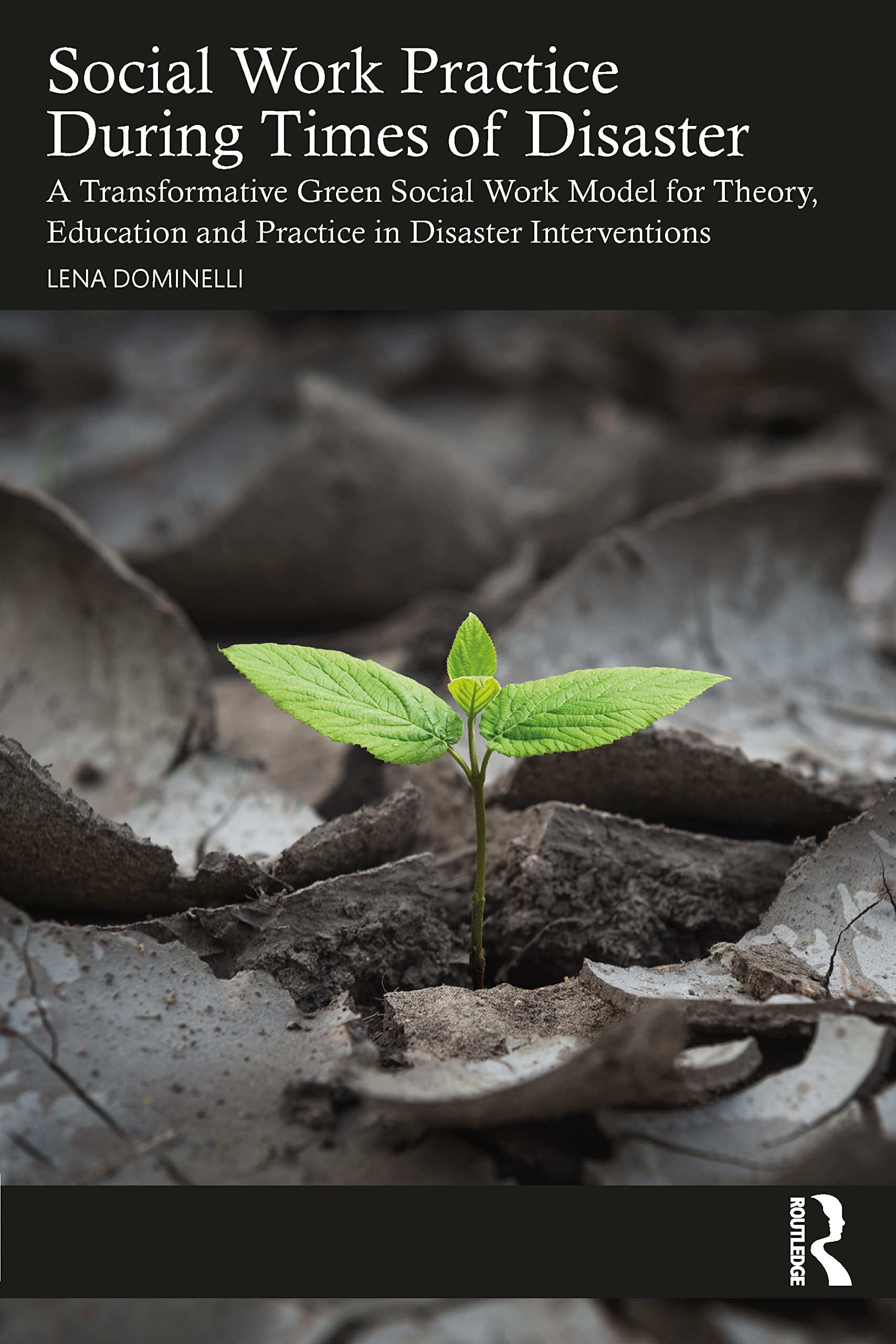 Social Work Practice During Times of Disaster: A Transformative Green ...