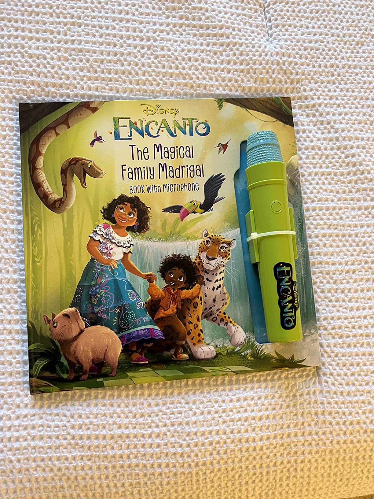 Disney Encanto: The Magical Family Madrigal (Book with Microphone ...