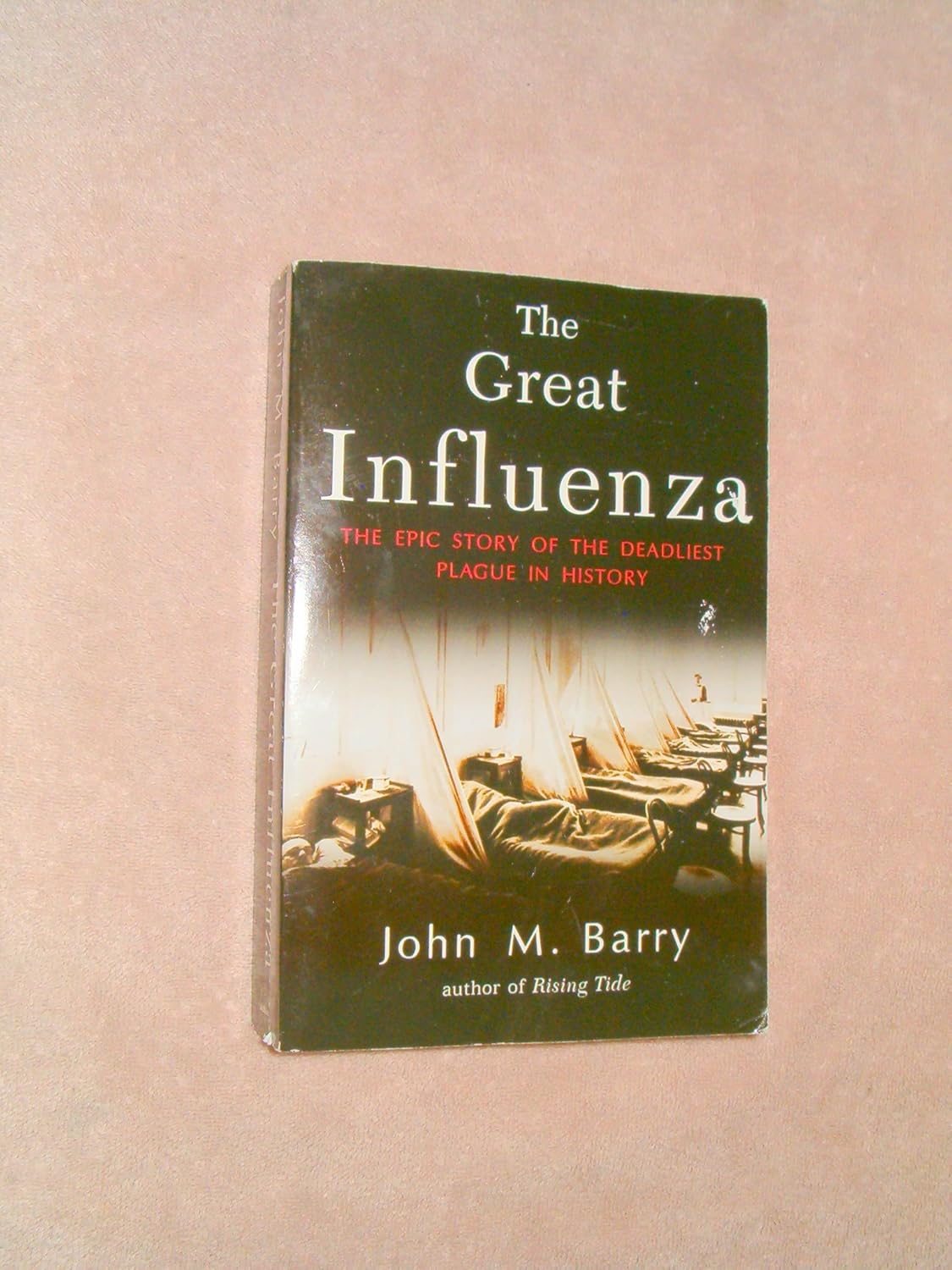 The Great Influenza: The Epic Story of the Deadliest Plague in History ...