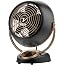 Amazon.com: Vornado VFAN Alchemy Vintage Fan, Gunmetal : Everything Else