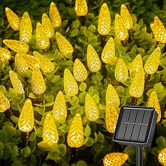 Amazon.com: Brightown Solar Operated C6 Strawberry String Lights, 22 ...