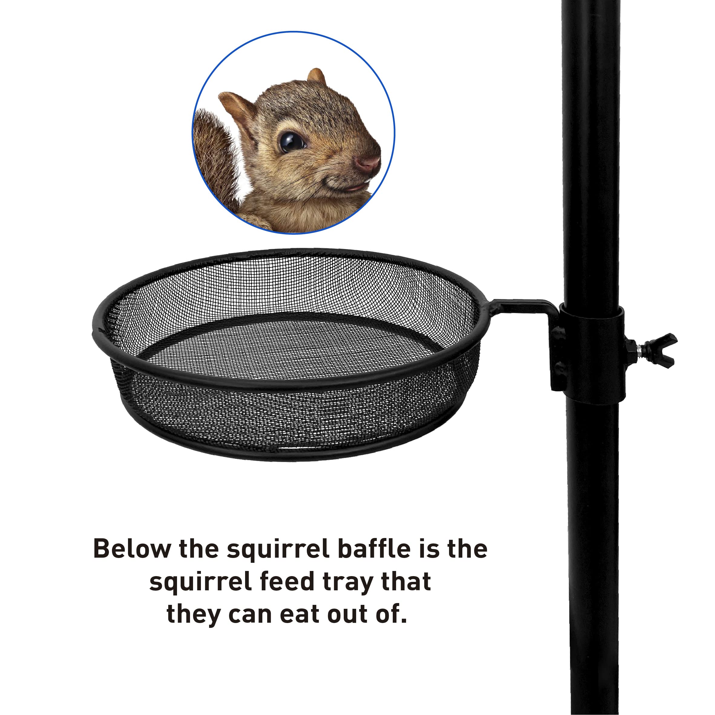 Snapklik.com : Squirrel Proof Bird FeederWild Bird Station - Powder ...