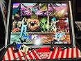 Amazon.com: UNICO 26 inch Arcade Monitor, 4:3 Ratio LCD Gaming Monitor ...