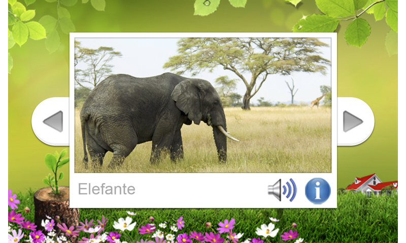 Learn the animals (spanish):Amazon.com:Appstore for Android