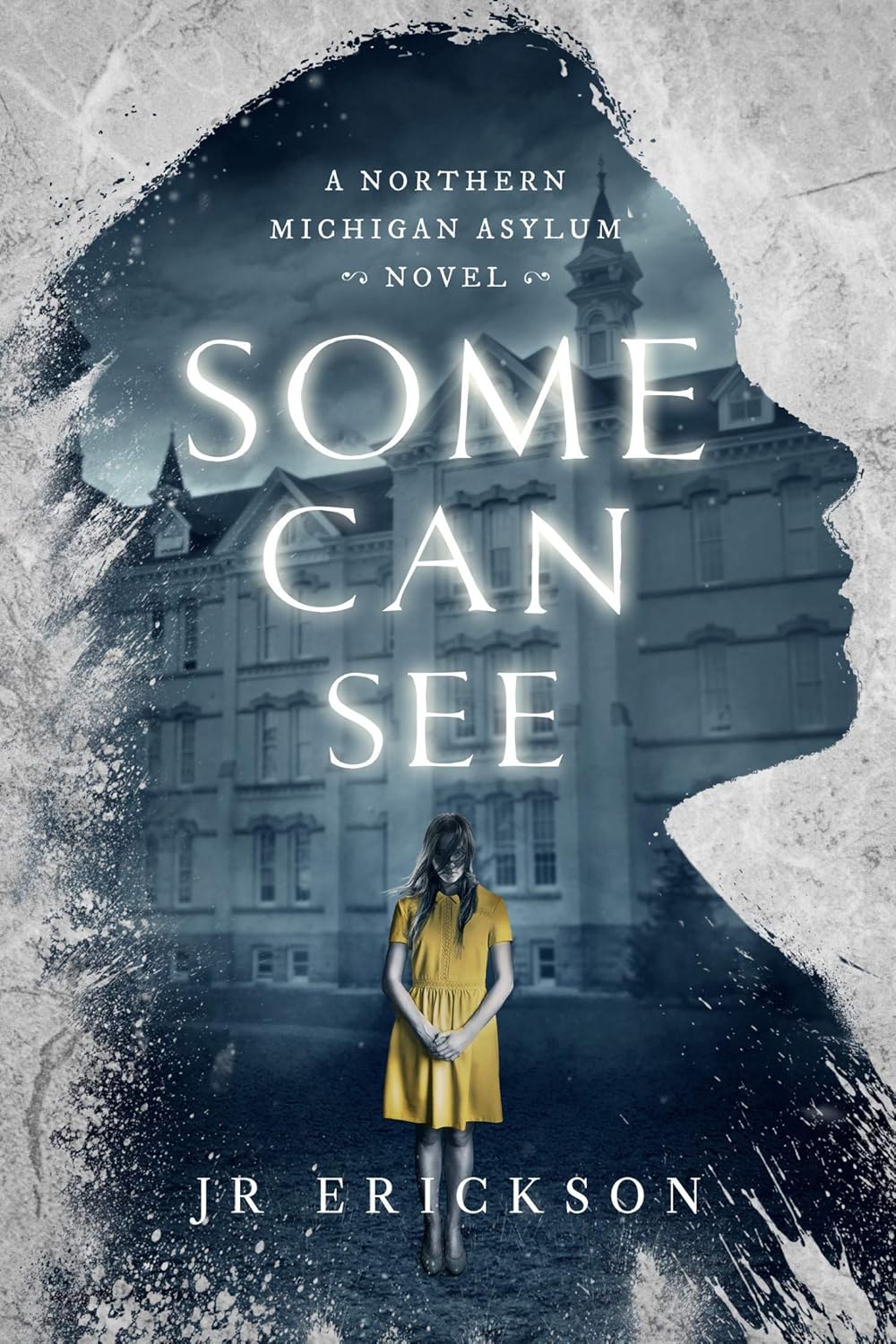 Some Can See: A Northern Michigan Asylum Novel - Kindle edition by ...