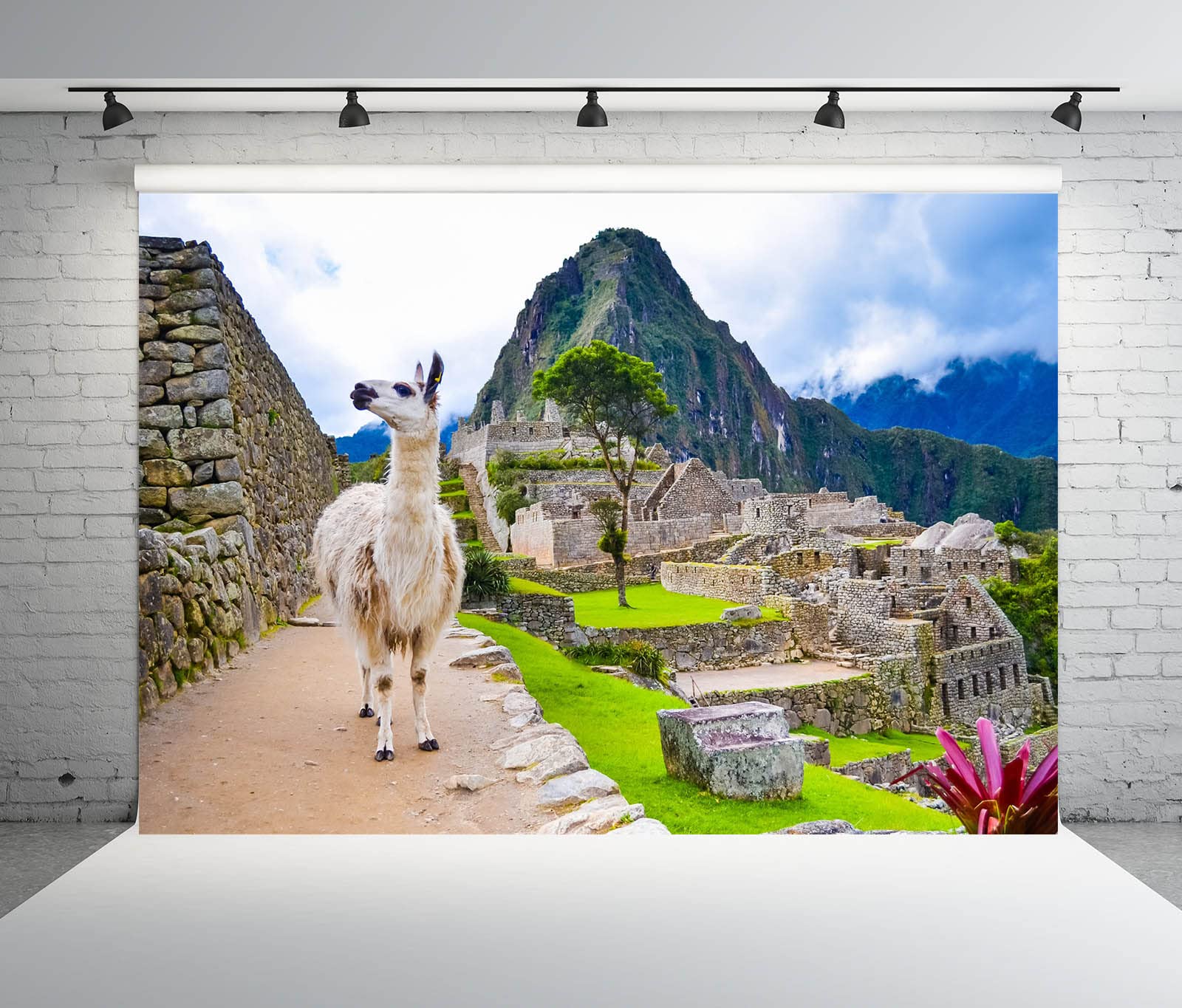 Snapklik.com : 5x3ft Fabric Machu Picchu Backdrop For Photography ...