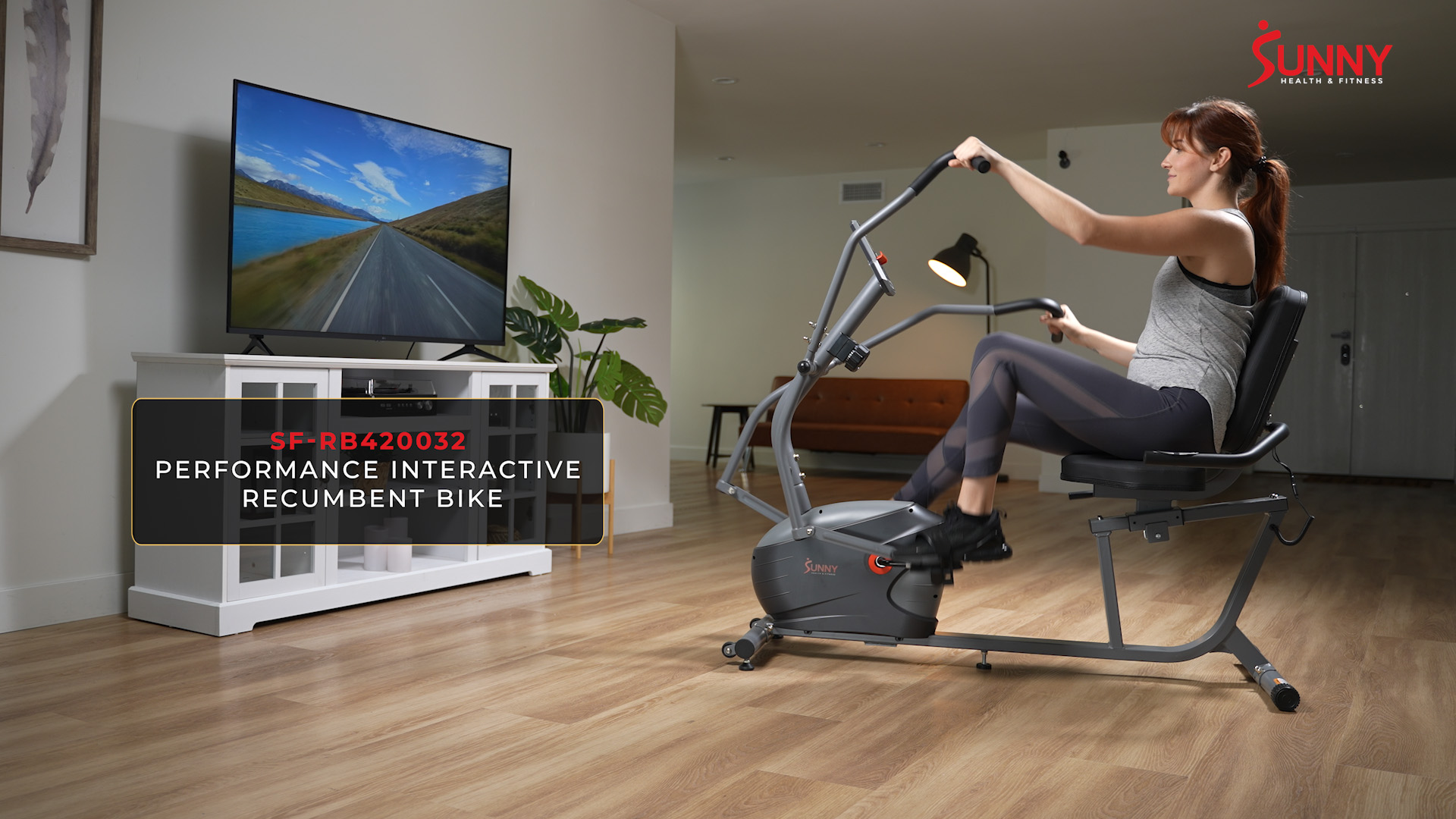 Snapklik.com : Sunny Health & Fitness Compact Performance Recumbent Bike
